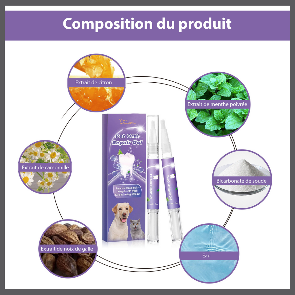 Gel d’Hygiène Buccale pour Chiens et Chats – BERDAQUEBEC