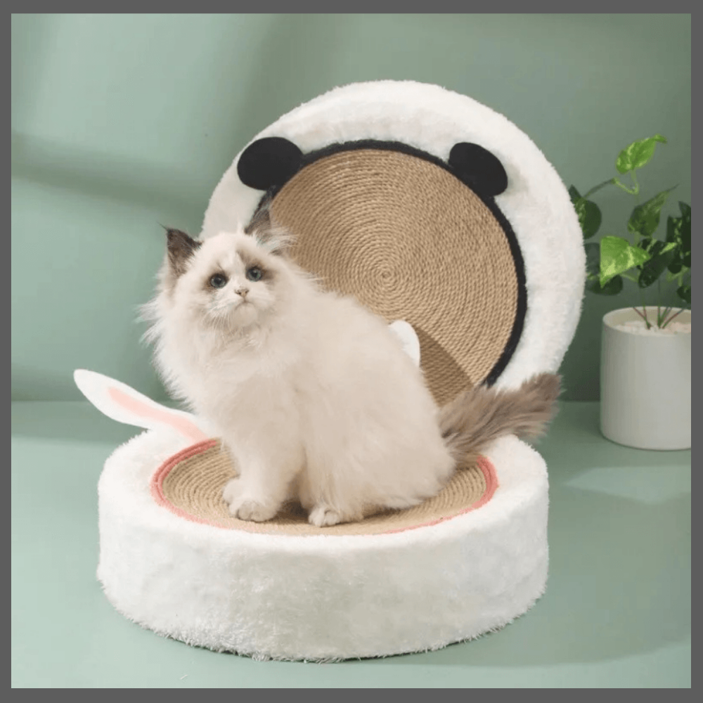 Griffoir Lit pour Chats – BERDAQUEBEC