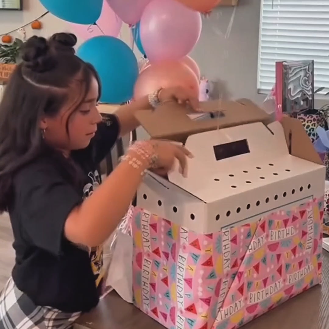 Nino, le lapin plus vrai que nature – BERDAQUEBEC